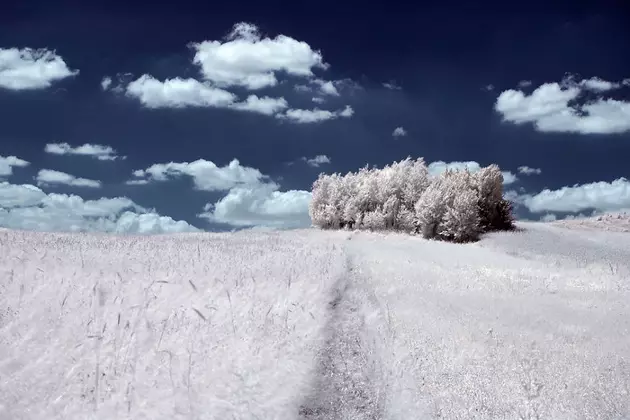 Hell Infrared Landschaftsprämpfe PRZEMSLAW Kruk (PRZEMSLOW Kruk) 9895_6