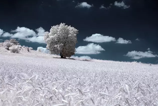 ພູມສັນຖານ Infrared ທີ່ສົດໃສ Przemsylaw Kruk (Przemmyslaw Kruk) 9895_7