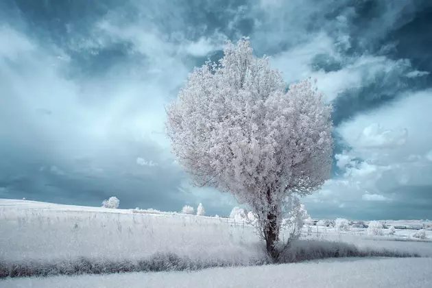 Hell Infrared Landschaftsprämpfe PRZEMSLAW Kruk (PRZEMSLOW Kruk) 9895_8