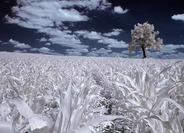 Landscapes Inframerah Cerah Przemyslaw Kruk (Przemyslaw Kruk) 9895_9