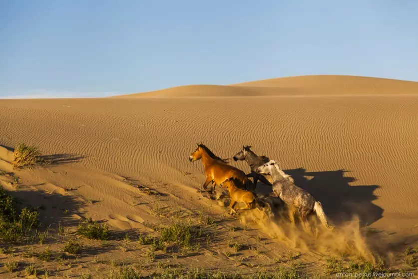 Mongolia katika mandhari ya Anton Peul. 9961_4